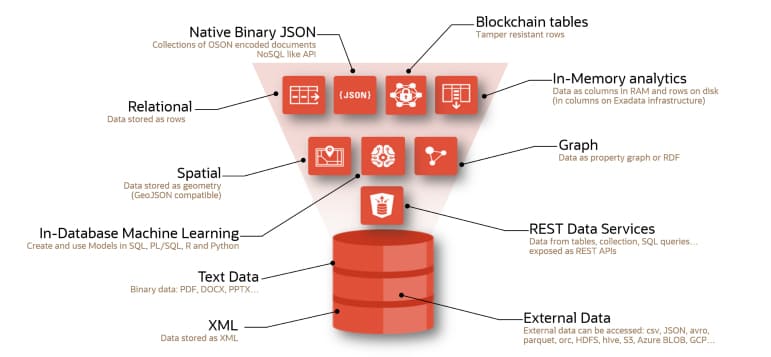 ORACLE REAL APPLICATION CLUSTERS – PROCESSOR PERPETUAL ORACLE REAL APPLICATION CLUSTERS – PROCESSOR PERPETUAL